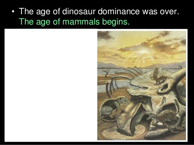 Cenozoic Era, Geologic History, Earth Science Lesson PowerPoint, Rise ...