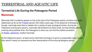 cenozoic era- eVERYTHING ABOUT THE TIME OF MAMMALS | PPTX