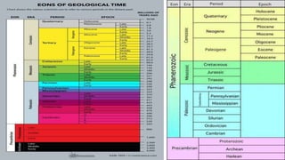 cenozoic era- eVERYTHING ABOUT THE TIME OF MAMMALS | PPTX