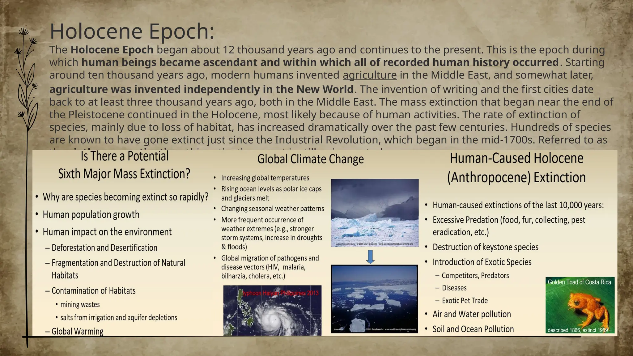 Cenozoic Era PPT ..by....Dhawal B.pptx.. | PPTX