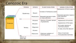 Cenozoic Era PPT ..by....Dhawal B.pptx.. | PPTX