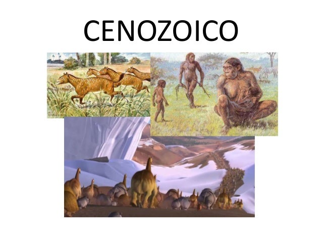 Cenozoico