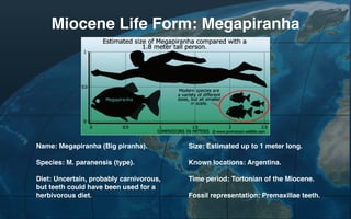 Cenozoic: Neogene: Miocene: and Pliocene | PDF