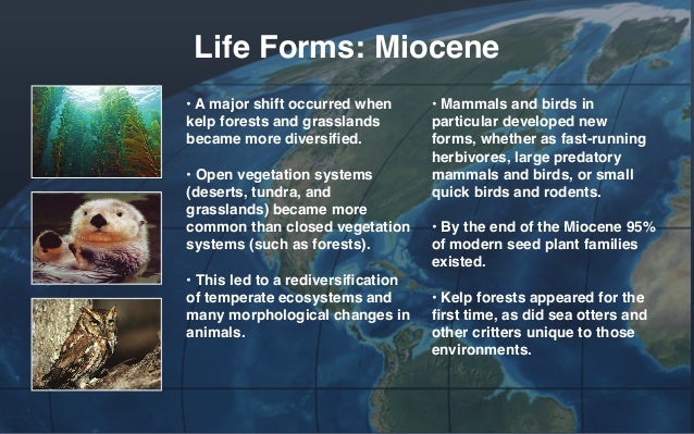Cenozoic: Neogene: Miocene: and Pliocene