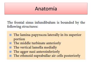 Cirugia endoscopica del seno frontal | PPTX