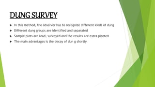CENSUS power point presentation of wild l | PPTX