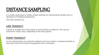 CENSUS power point presentation of wild l | PPTX