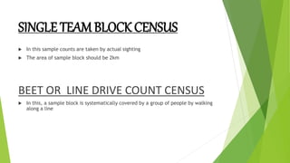 CENSUS power point presentation of wild l | PPTX