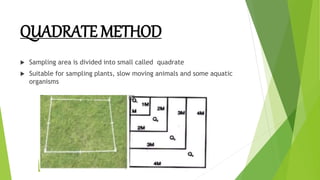 Census method 476-vikram mrinal toppo .pptx