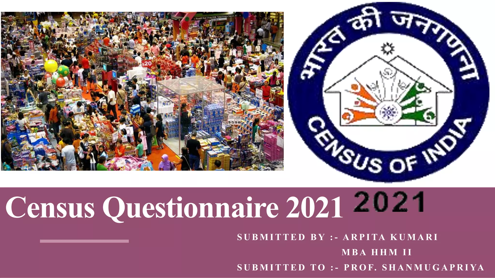 census questionnaire 2021.pptx