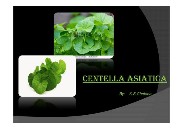 Centella asiatica | PPT