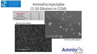 Amniotic Stem Cell Products Testing Interventional Orthopedics ...
