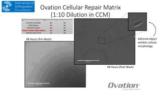 Amniotic Stem Cell Products Testing Interventional Orthopedics ...