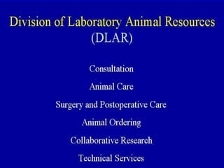 How to Establish Animal Core Facility (VIVARIUM) by Prof. Mohamed Labib ...