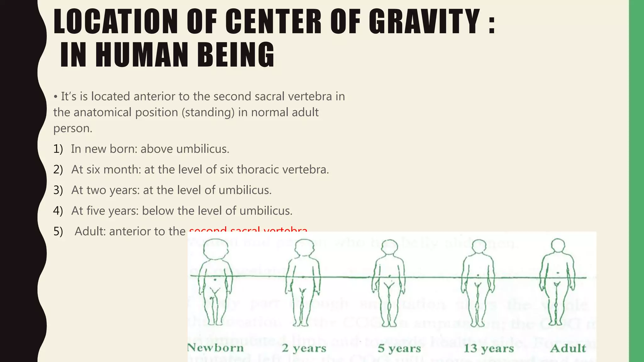 Center of gravity and stability | PPTX