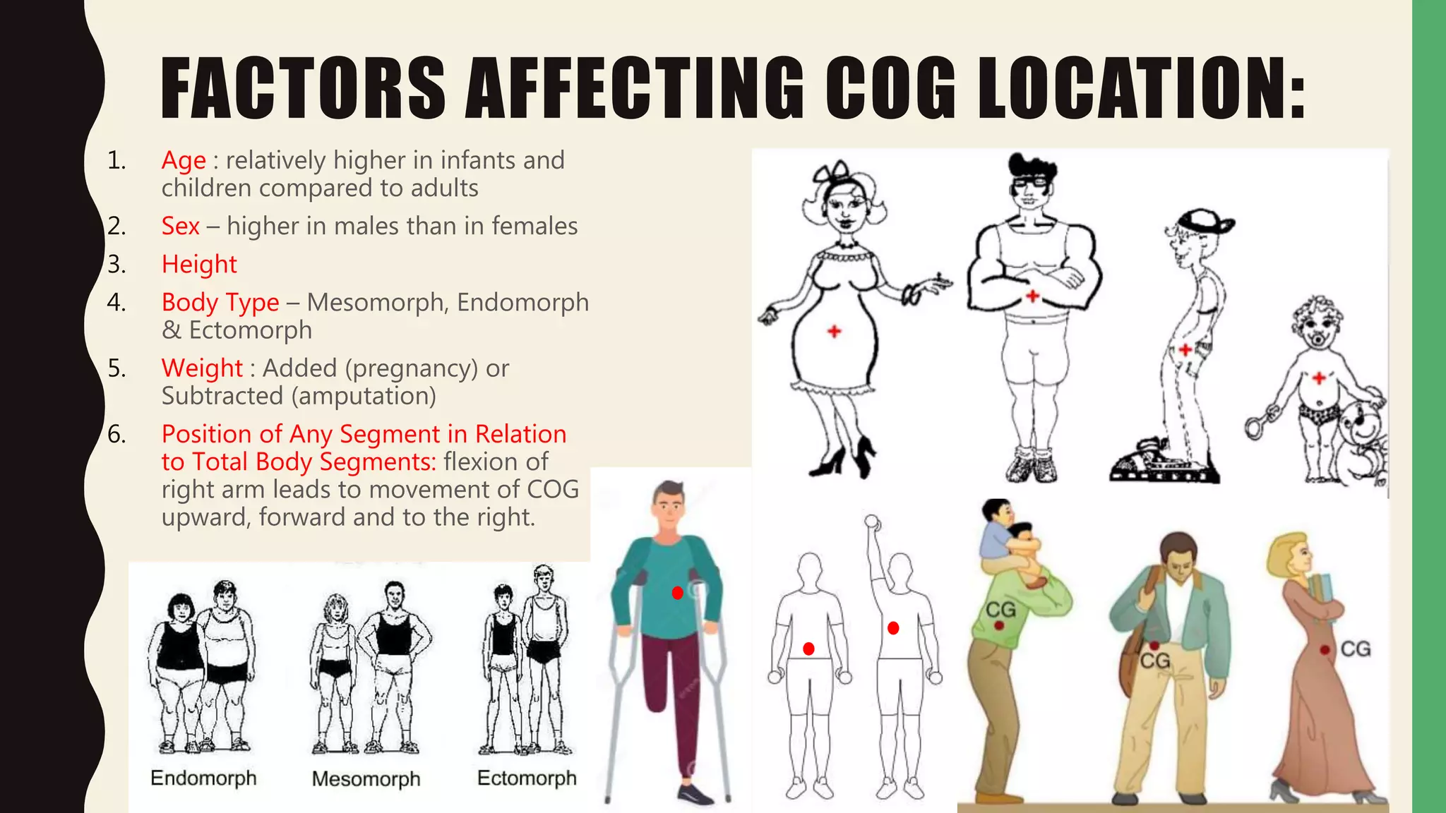 Center of gravity and stability | PPTX