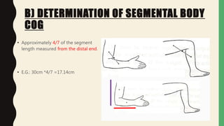 Center of gravity and stability | PPTX