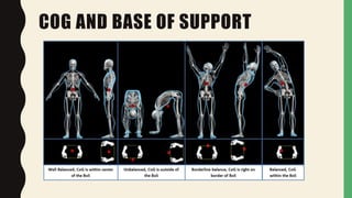 Center of gravity and stability | PPTX