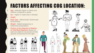 Center of gravity and stability | PPTX