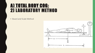 Center of gravity and stability | PPT