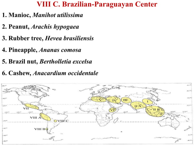 Center of Origen.pptx