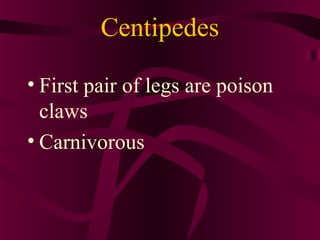 Centipede | PPT