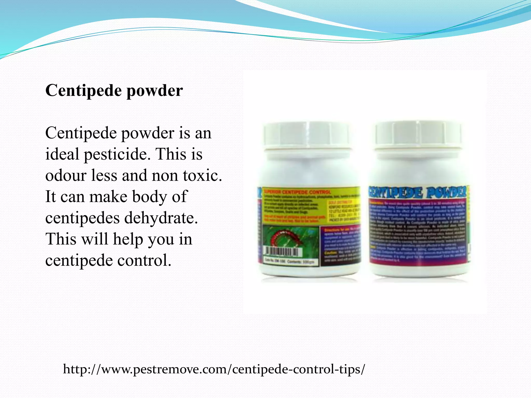Centipede control tips | PPT