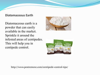 Centipede control tips | PPT