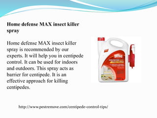 Centipede control tips | PPT