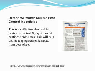 Centipede control tips | PPT