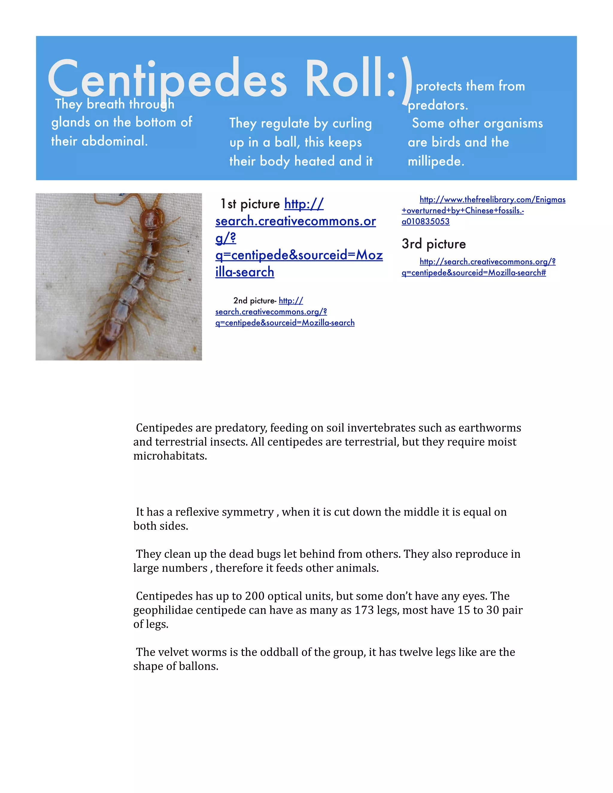 Centipede Project | PDF