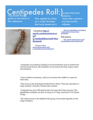 Centipede Project | PDF