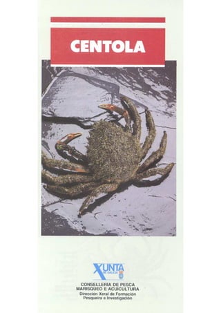 Centola | PDF