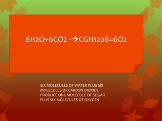 Cent photosynthesis | PPT