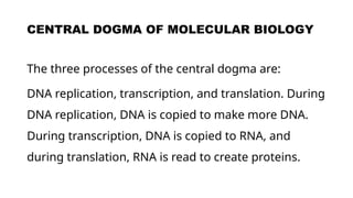 CENTRAL-DOGMA SENIOR HIGH SCHOOL PRESENTATION FOR BIOLOGY | PPTX