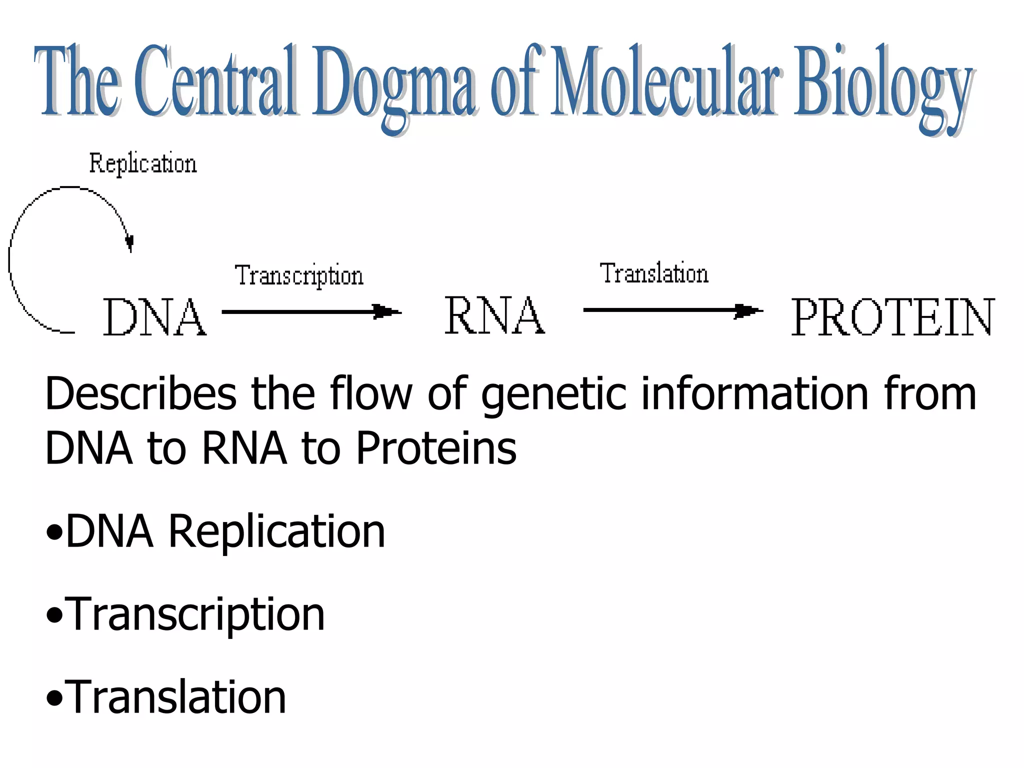 Central Dogma and Protein Synthesis | PPT