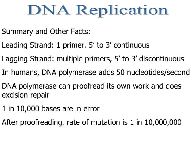 Central Dogma and Protein Synthesis | PPT | Programming Languages ...