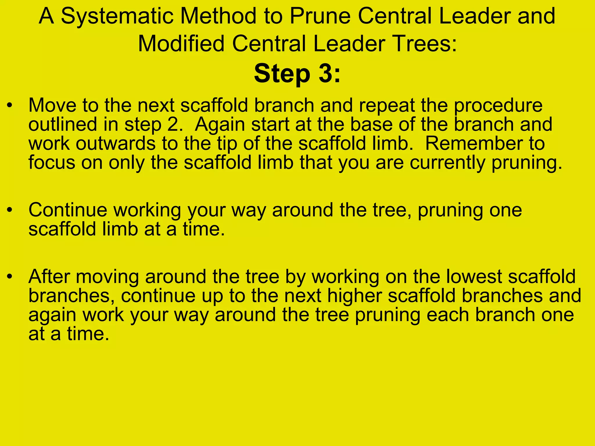 Central leader-modified-central-leader-pruning-presentation | PDF