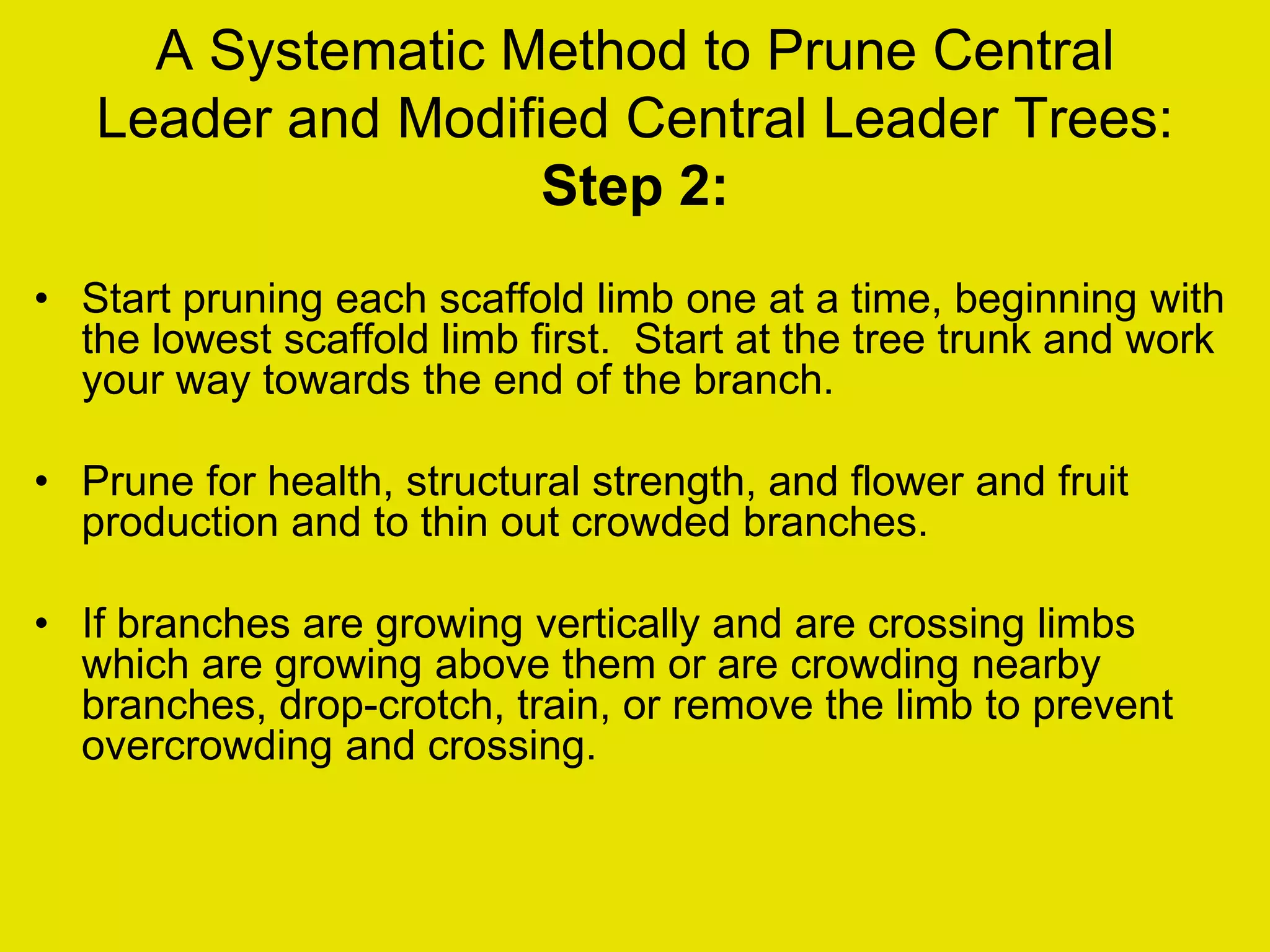 Central leader-modified-central-leader-pruning-presentation | PDF
