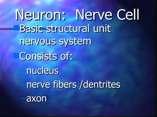 Central nervous-system | PPT