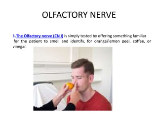 central-nervous-system-assessment.pptx