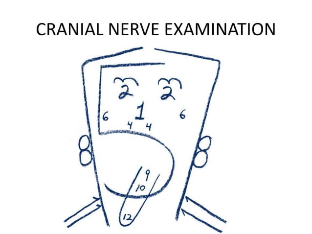 central-nervous-system-assessment.pptx