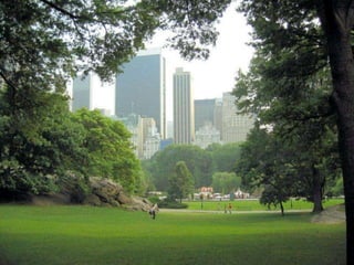 Central Park | PPT