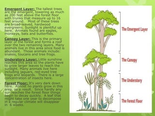 Central america final | PPT