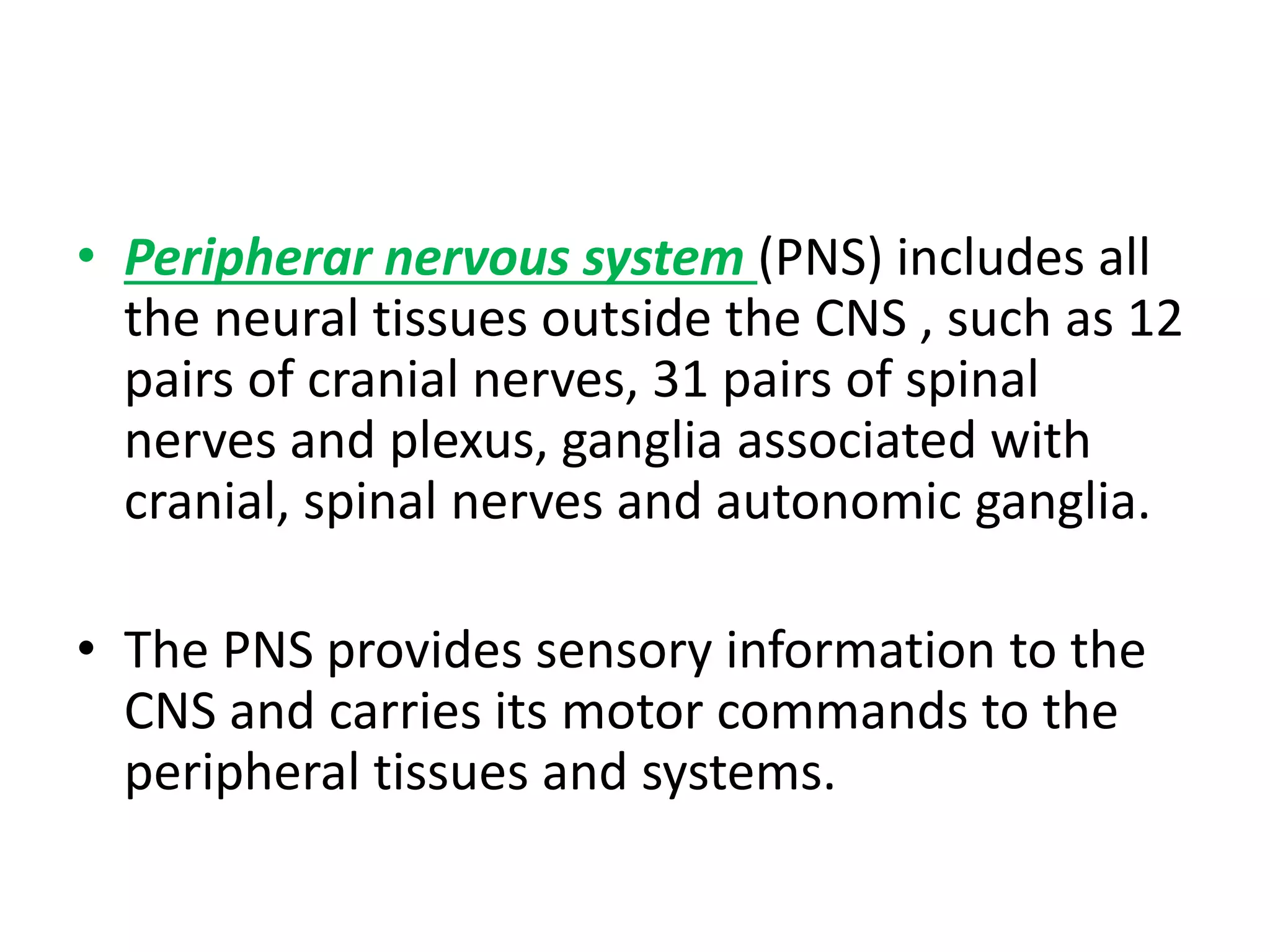 Central and peripheral nervous system | PPTX