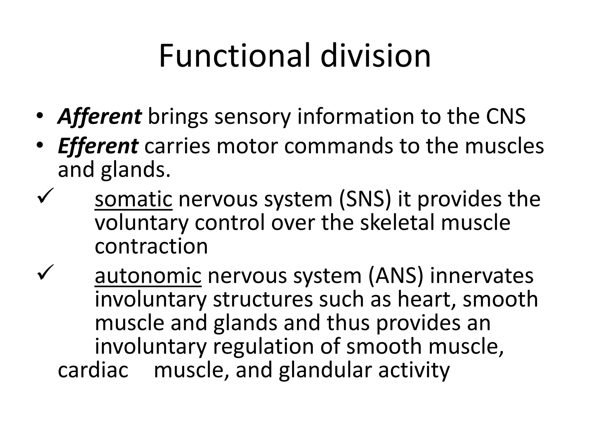 Central and peripheral nervous system | PPTX