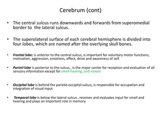 Central and peripheral nervous system | PPTX
