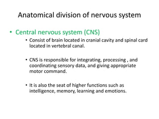 Central and peripheral nervous system | PPTX