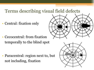 Central and peripheral visual field | PPTX