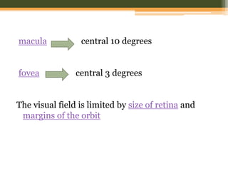 Central and peripheral visual field | PPTX